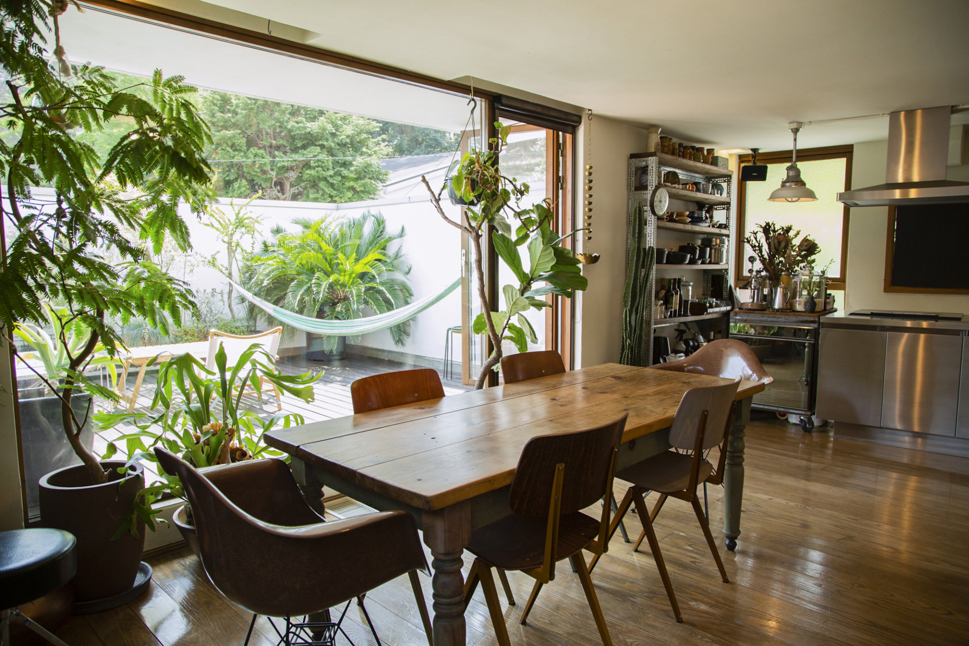 Pacific | STUDIO | HOXTON STUDIO